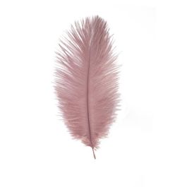 3 Plumes autruche rose